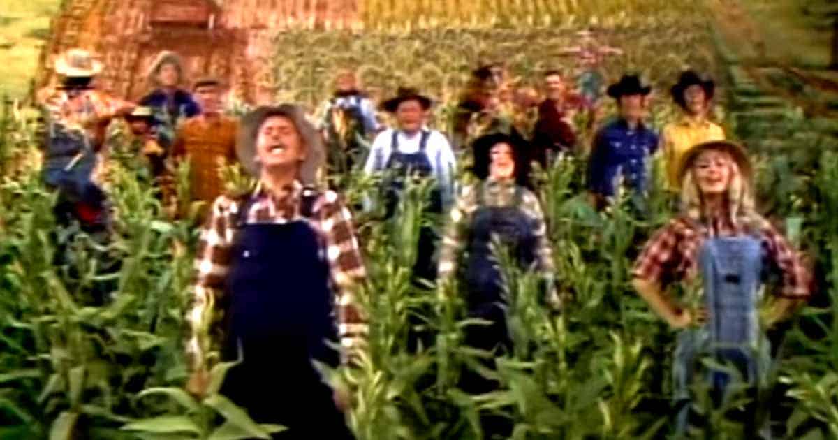 Hee Haw Cornfield